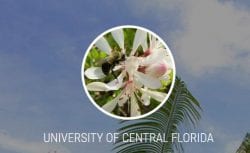 UCF Campus Plant Map - Arboretum and Sustainability Initiatives